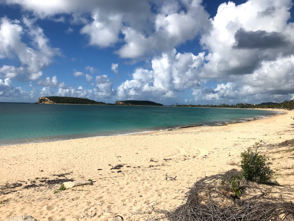 12 Stunning Vieques Beaches You Need to Experience - Tour Guide Tara