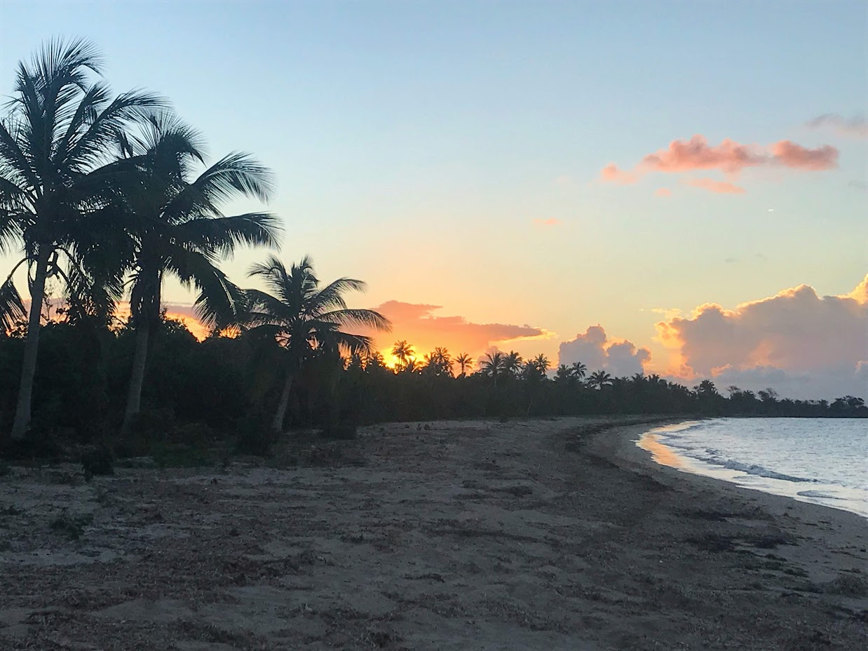 12 Stunning Vieques Beaches You Need to Experience - Tour Guide Tara
